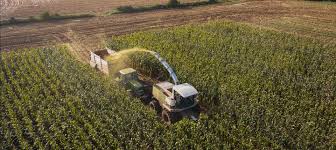 La coopérative agricole et agroalimentaire Agrial déploie son programme ...